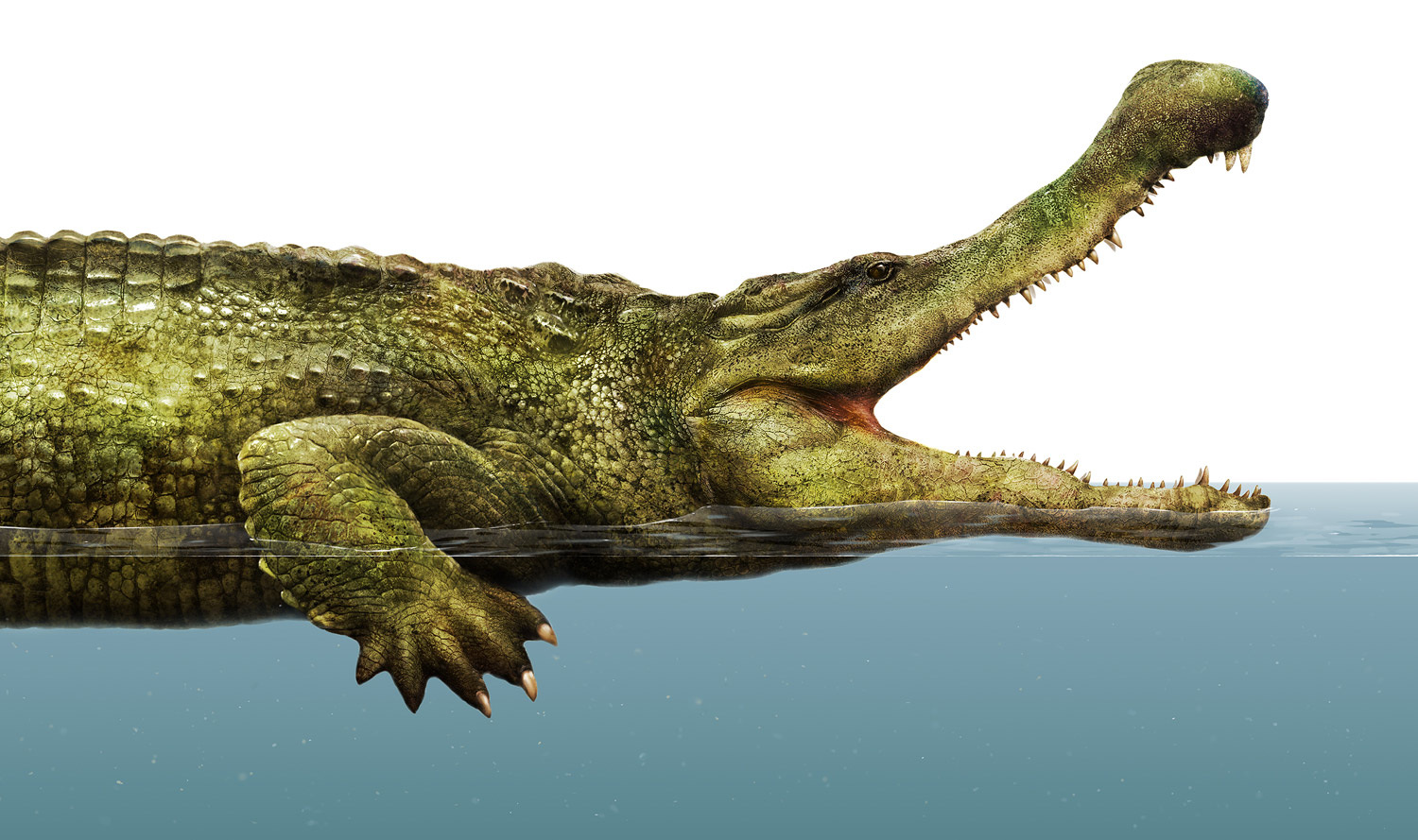 Crocodile Tribe - The Art of Eldar Zakirov